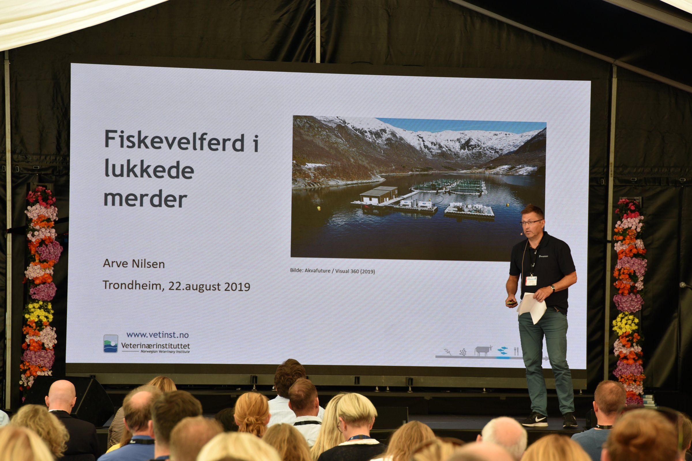 Fiskevelferdsseminar AkvaNor 2019- Hva er problemene? - Veterinærinstituttet